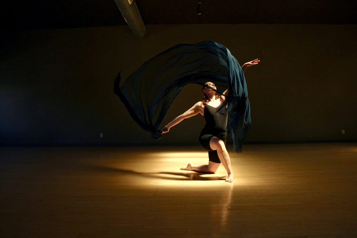 Vytal Movement Dance: Spokane, WA — Vytal Movement Dance