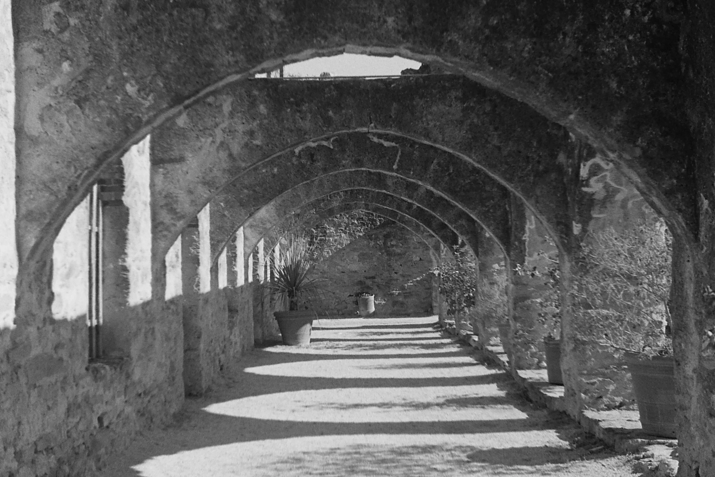 Emily Aranda Photography