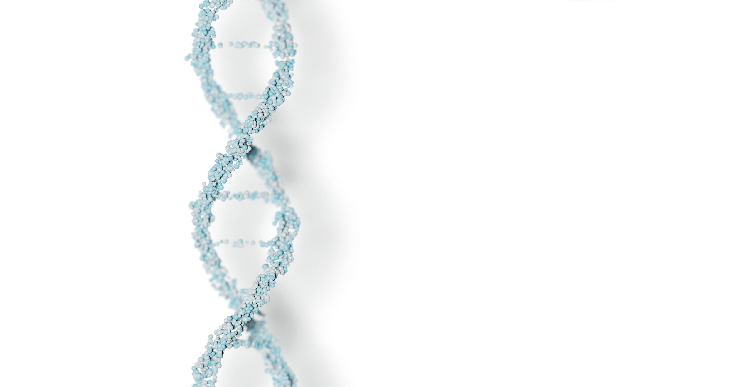 Jewish BRCA Testing Program — BRCA in BC