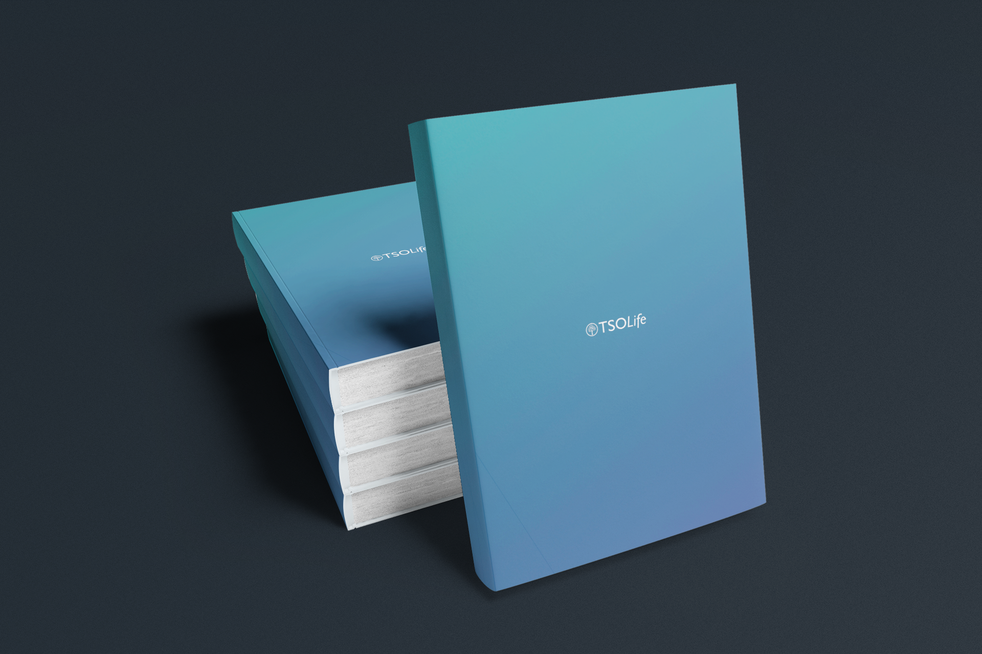 Product Photo Book — STELLA PARRIS