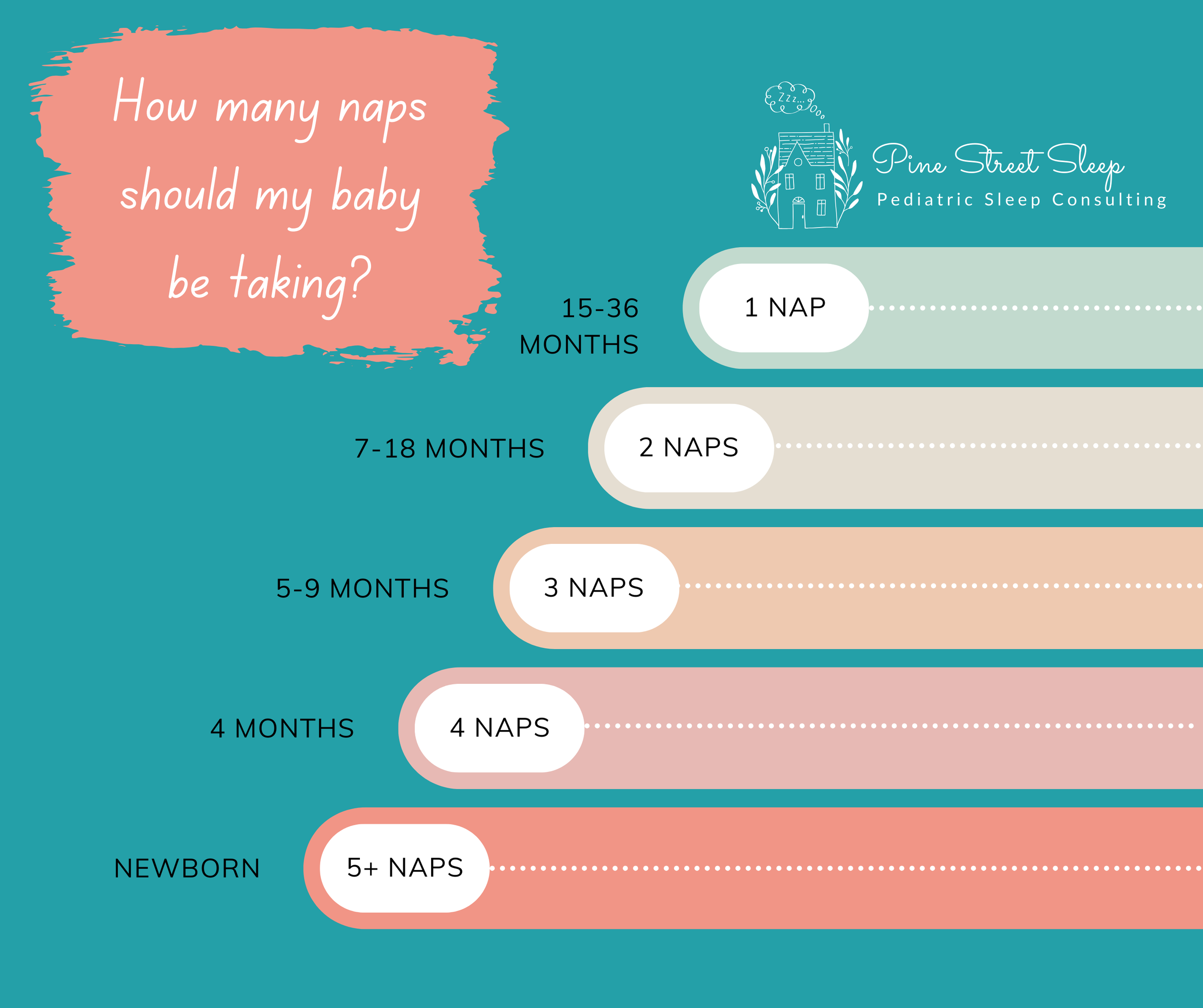 Navigating Nap Transitions — Pine Street Sleep LLC