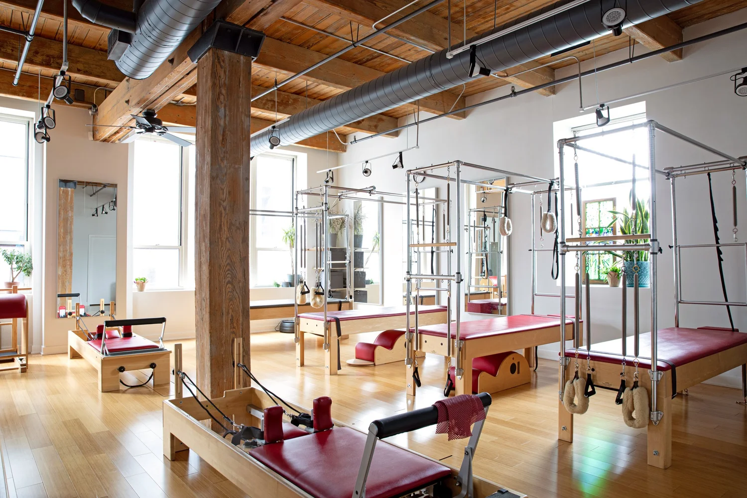 RIVER NORTH PHYSICAL THERAPY | Begin Your Healing Today