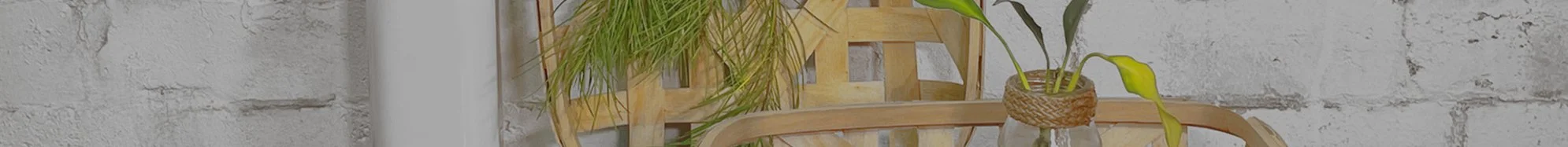 HOME DÉCOR — RankSharp