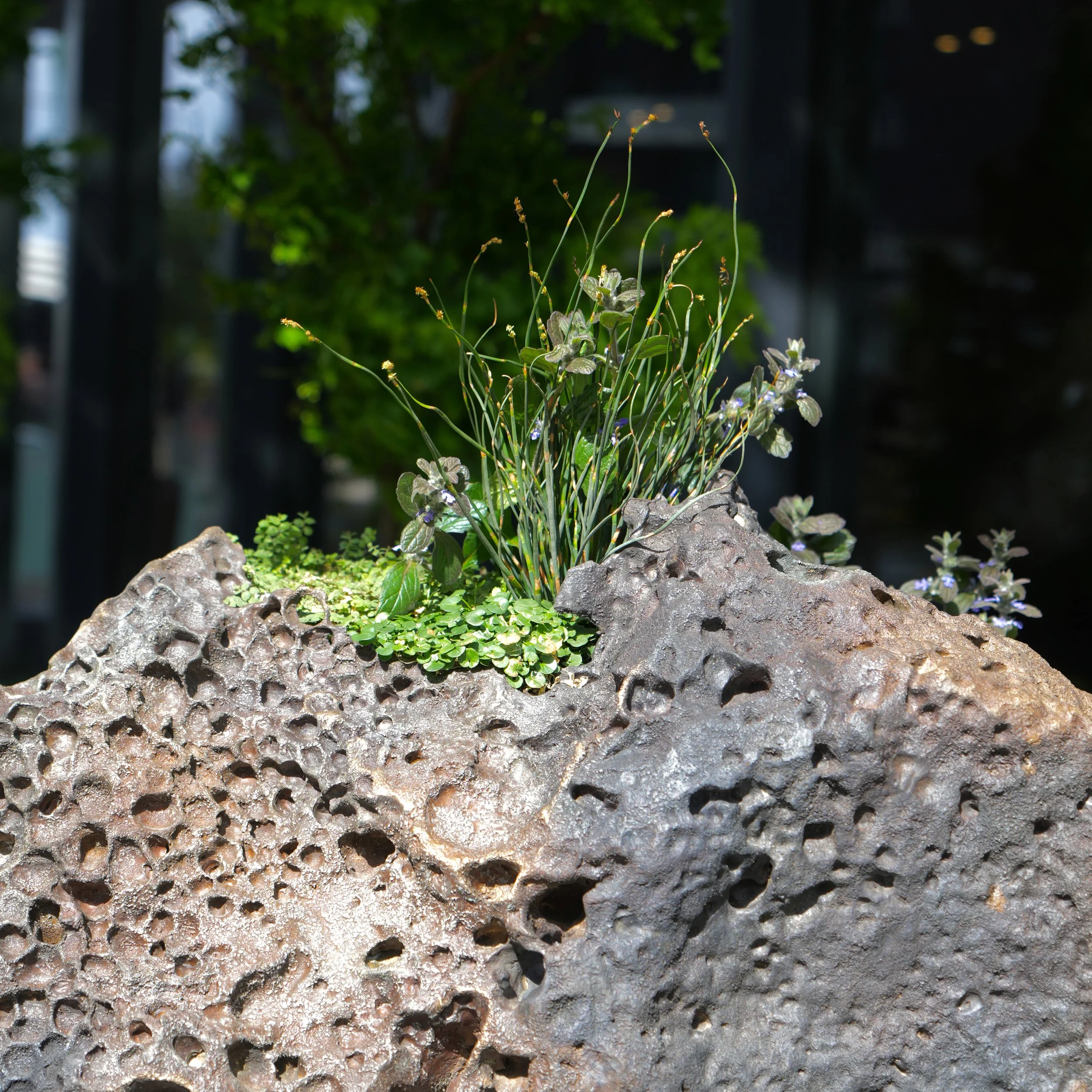 Jamie North — MERIDIAN SCULPTURE