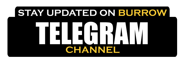 Burrow TV — Burrow