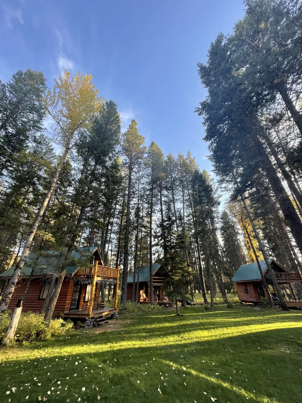 Creator Camp - A Community of Dreamers