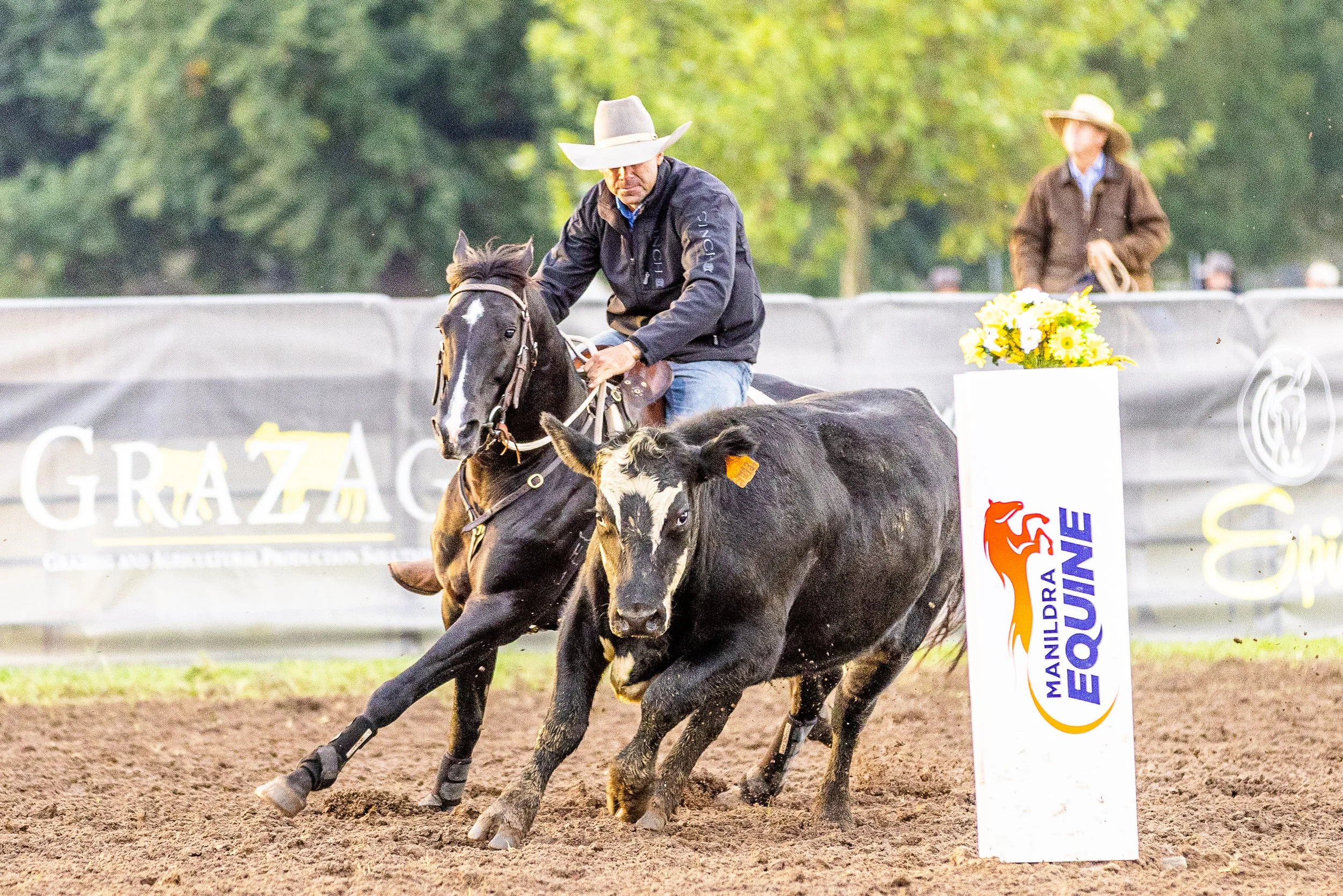 Campdraft — Epic Horse Sale