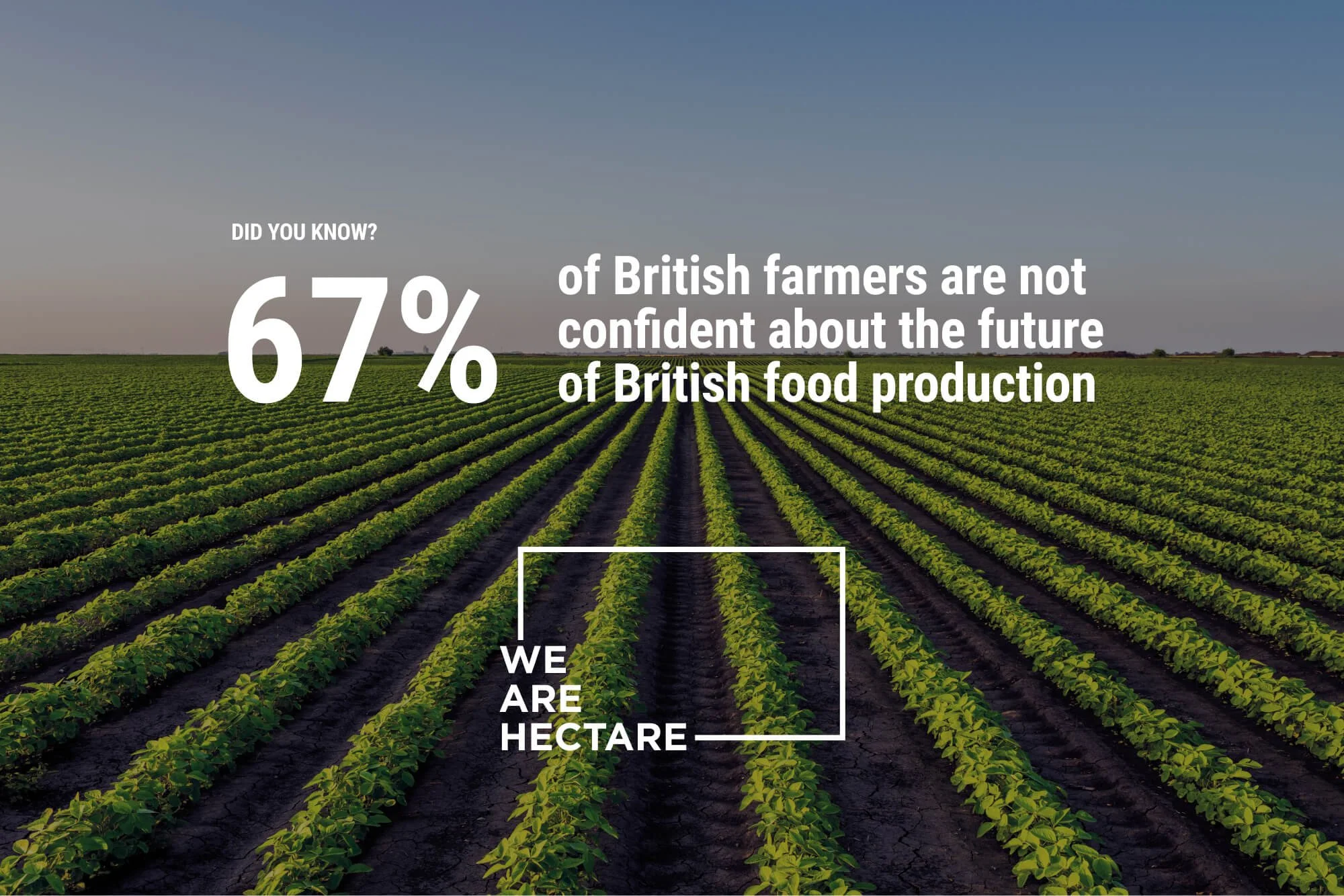 Over half of farmers aren’t confident about the future of British food ...