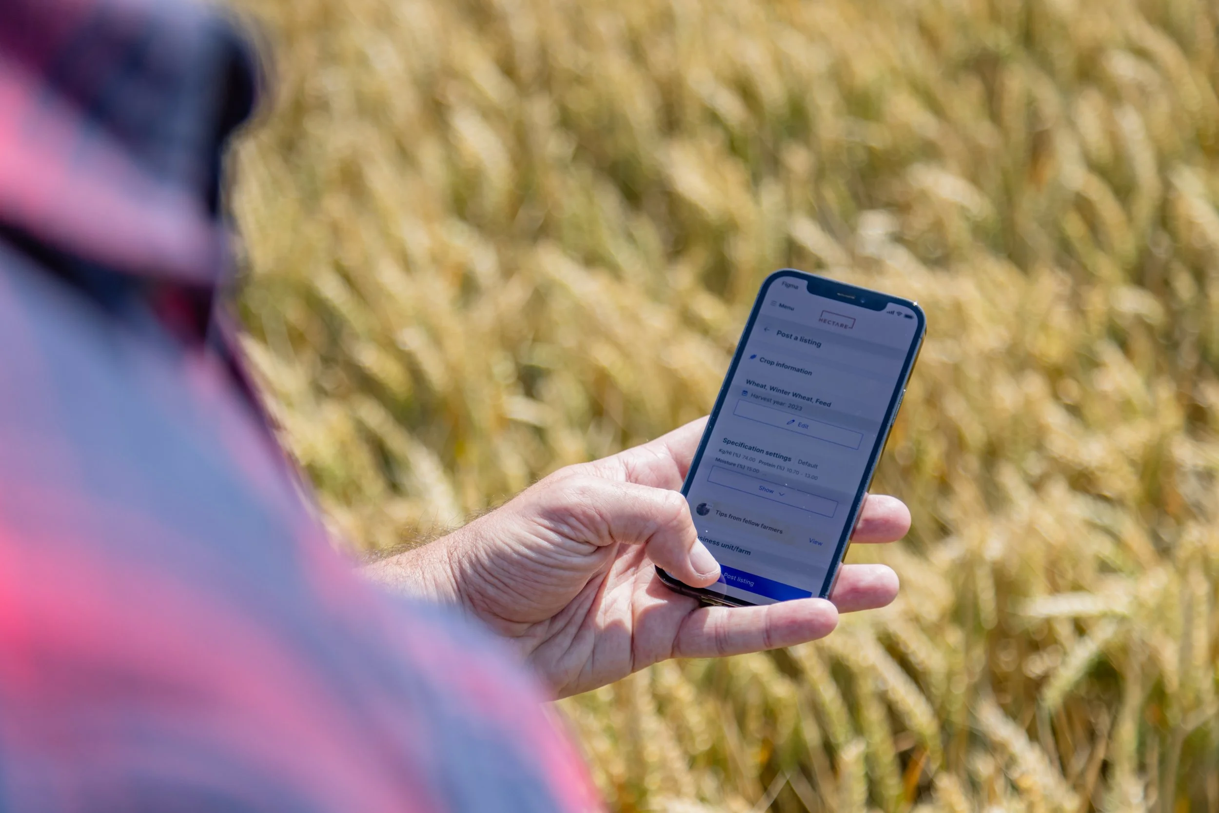 Get the best price for your grain — Hectare Trading | The online ...