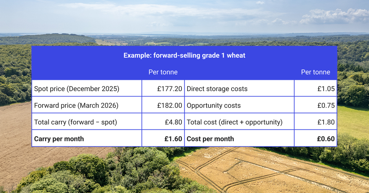 How to measure carry against your storage costs — Hectare Trading | The ...