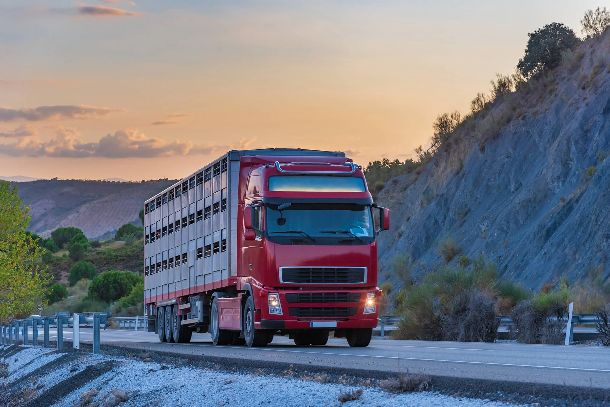 Livestock trading — Hectare Trading | The online marketplace for crops