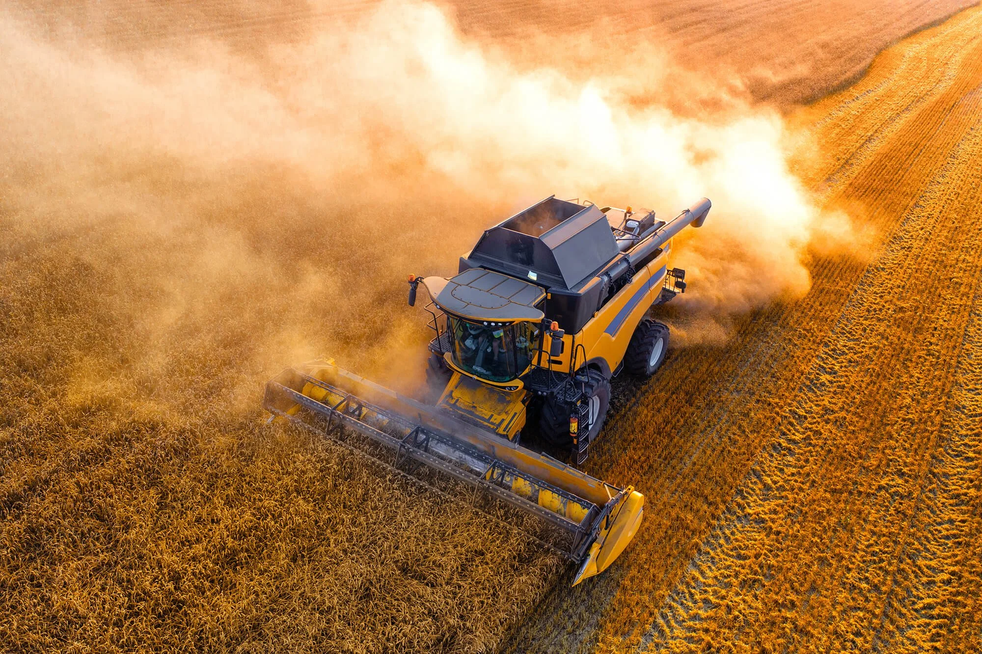 Trading — Hectare Trading | The online marketplace for crops