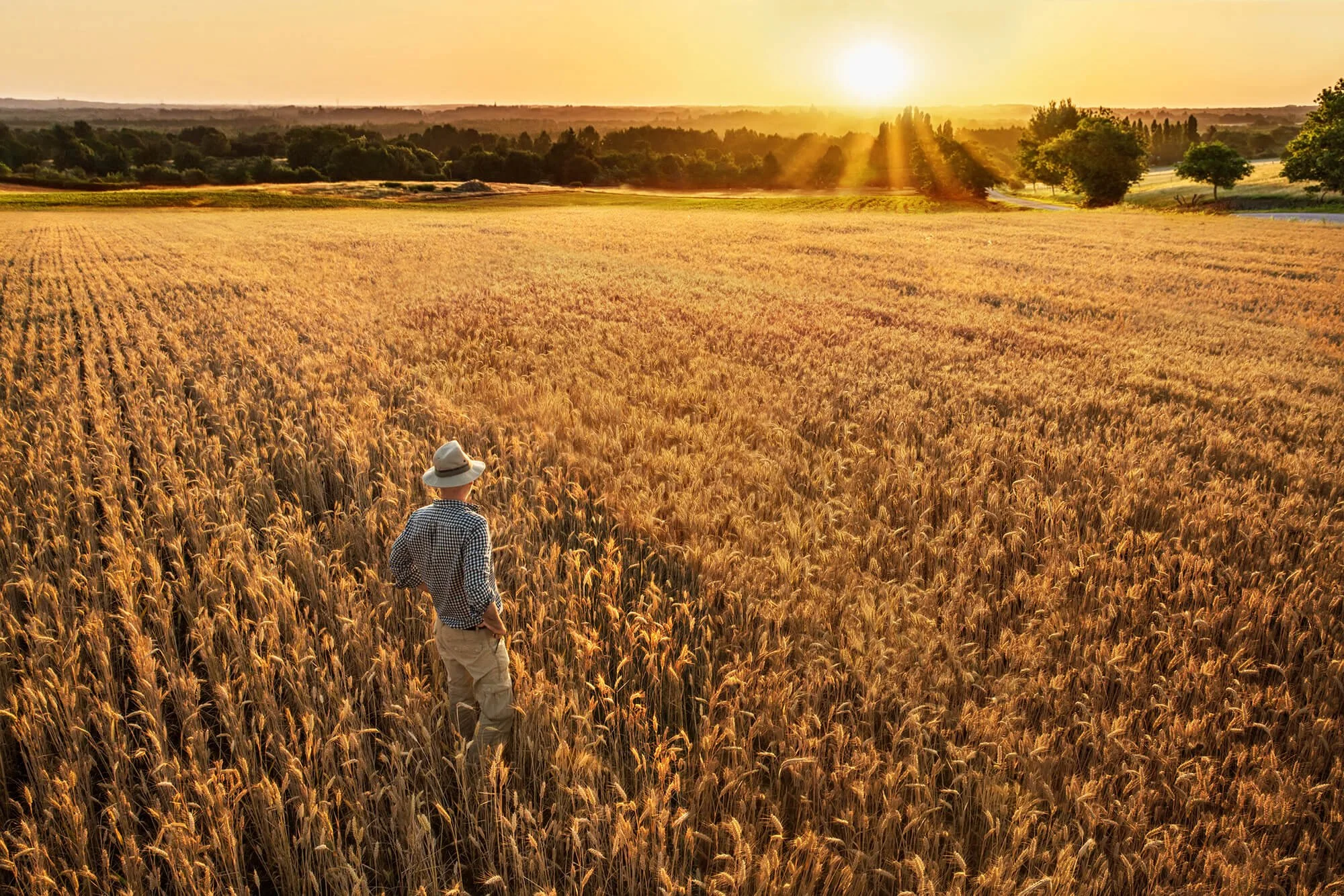 Trading — Hectare | Smarter agriculture for everyone