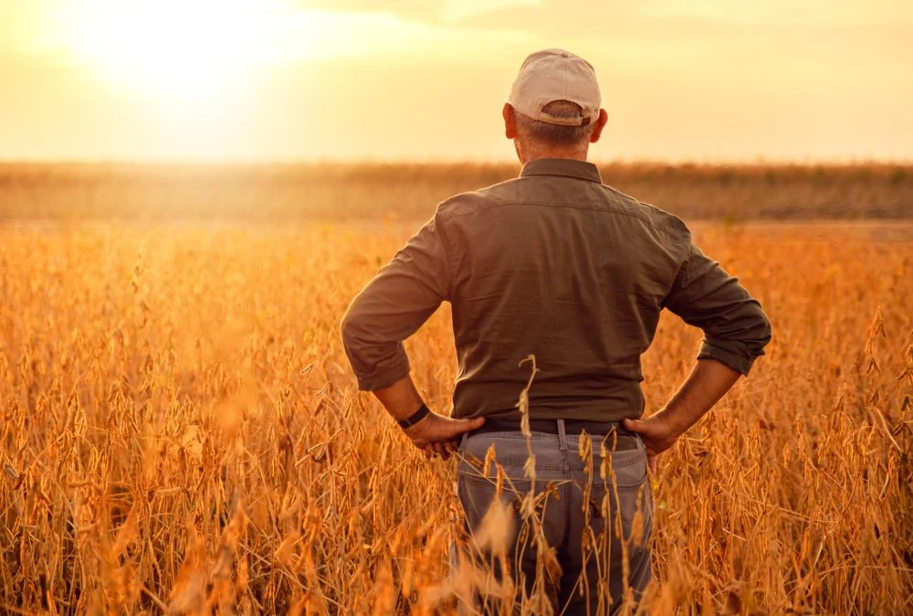 Introducing Hectare Trading: Your New Destination for Crop Trading ...