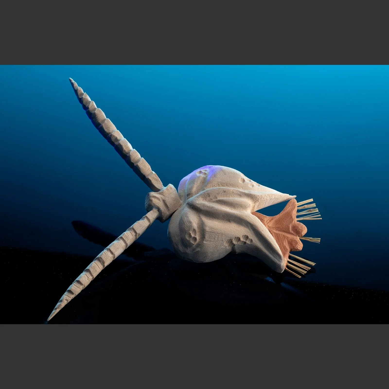 Kate Stehr | Artist — Tyger Gallery