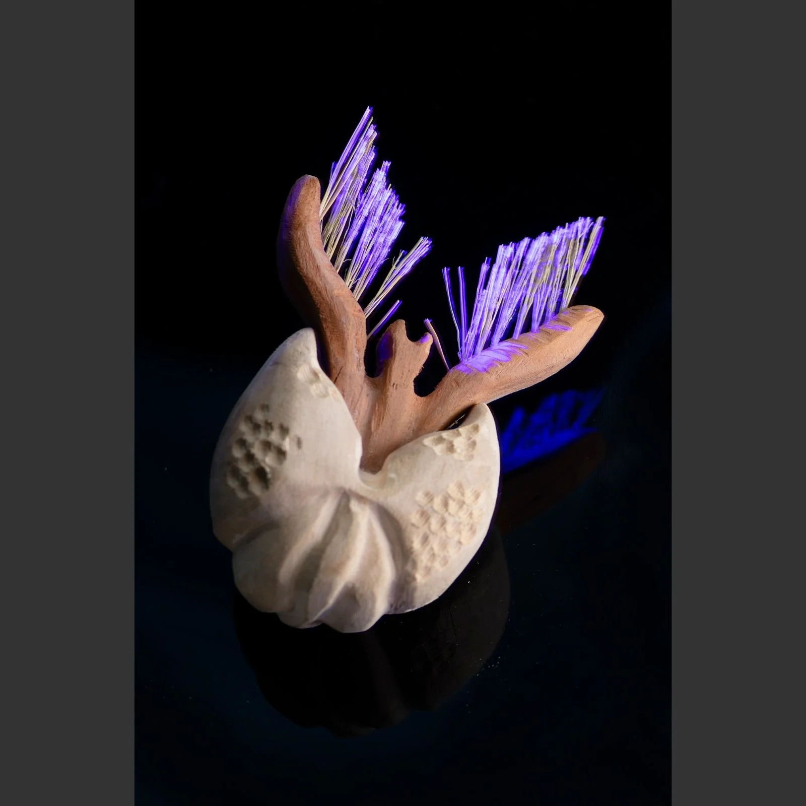 Kate Stehr | Artist — Tyger Gallery