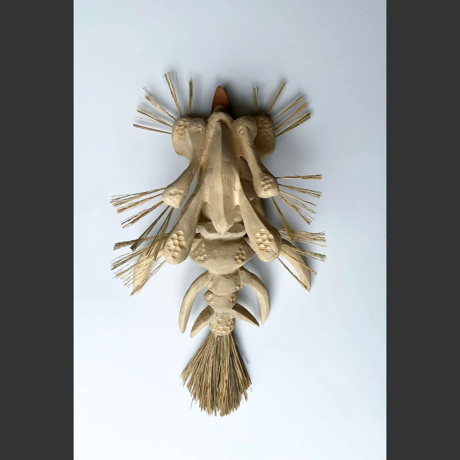 Kate Stehr | Artist — Tyger Gallery