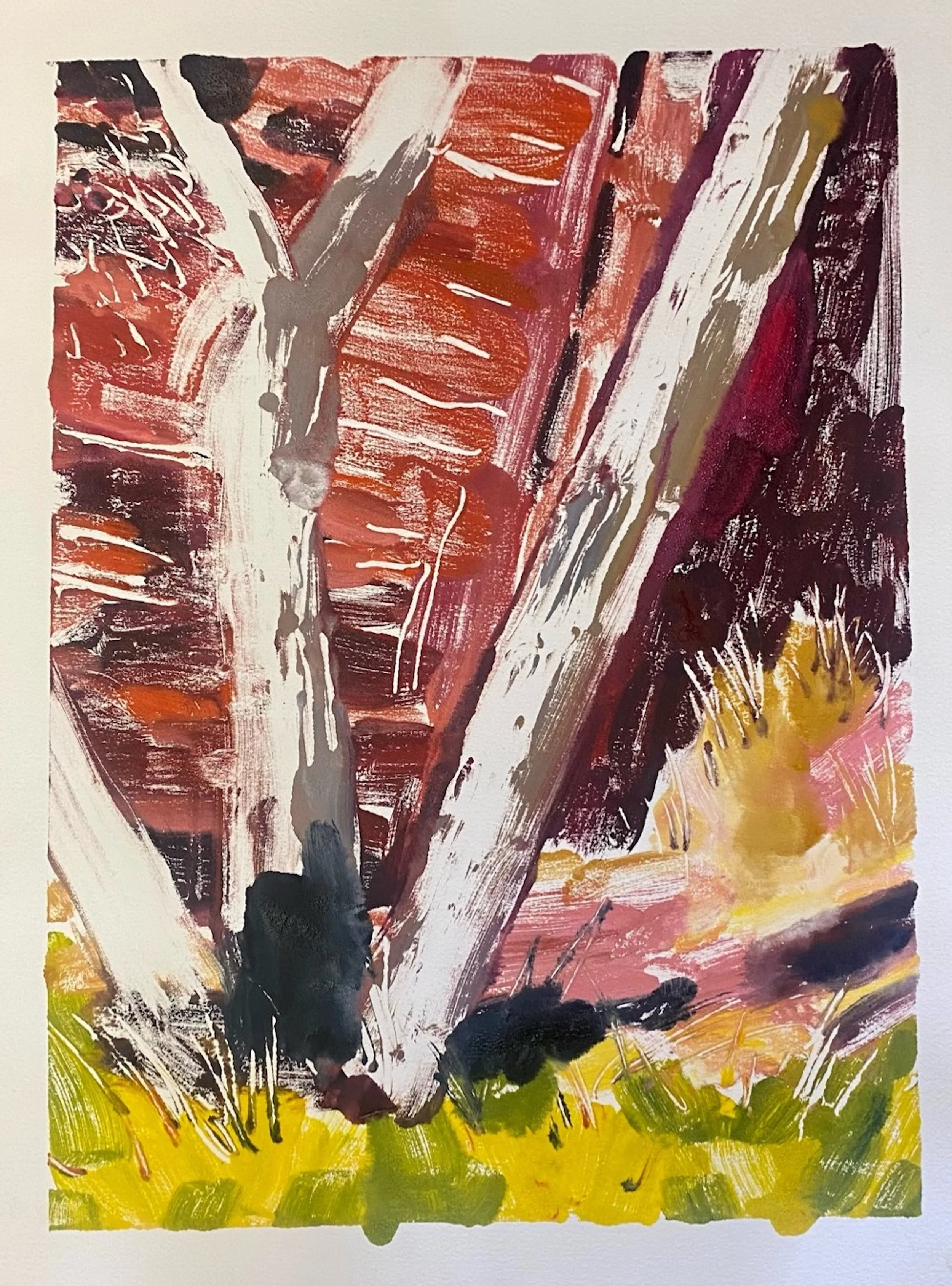 Ghost gums of Ruby Gap 2 | Sarah McDonald — Tyger Gallery