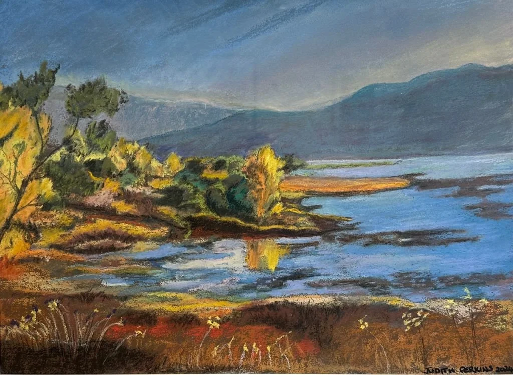 Exhibitions and Shows | What's on, and what's coming up — Tyger Gallery