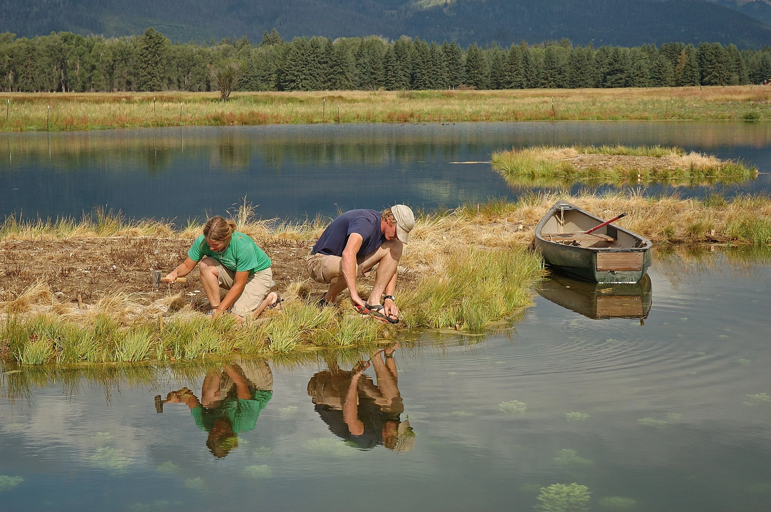Restoration Services — North Fork Native Plants