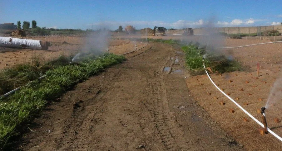 Restoration Services — North Fork Native Plants