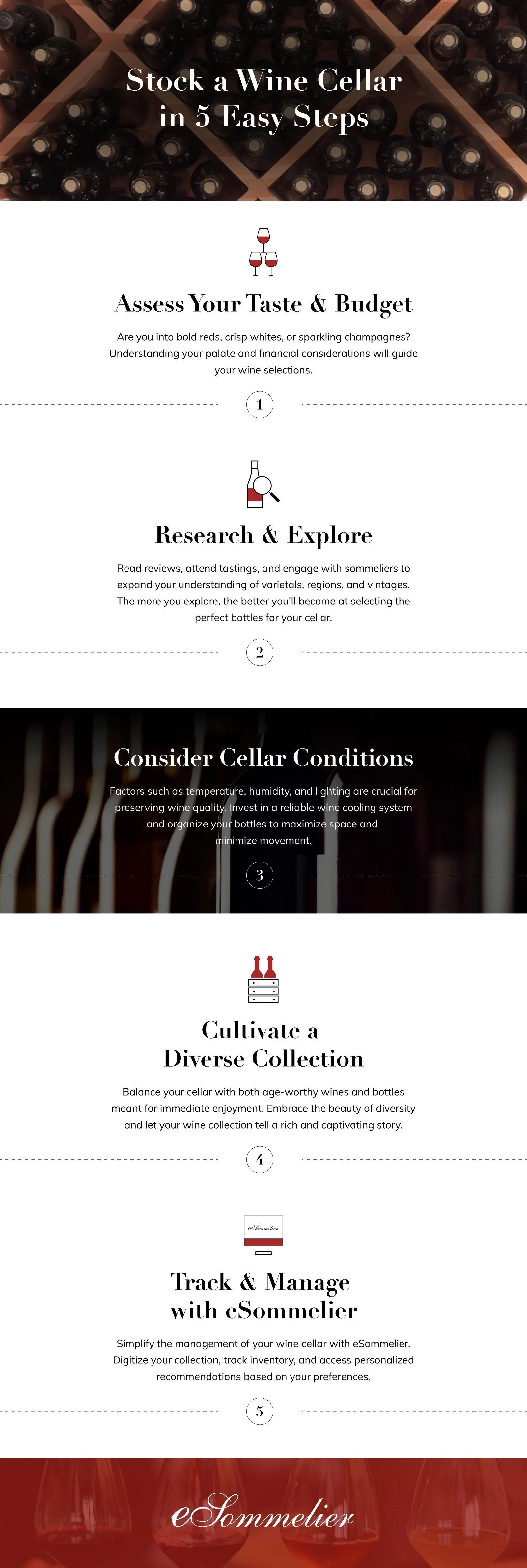 How to Stock a Wine Cellar in 5 Easy Steps — eSommelier