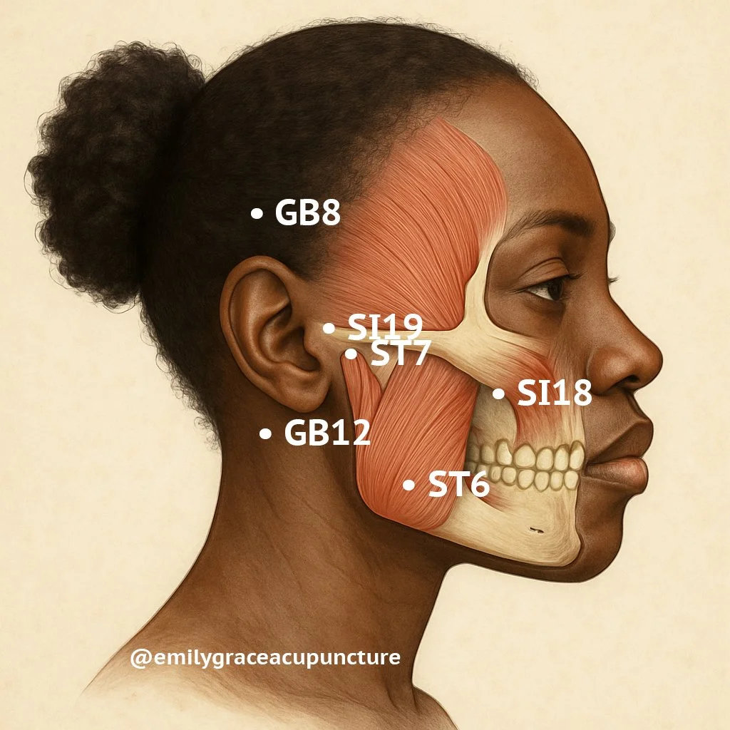 Jaw Pain and Acupuncture — Emily Grace Acupuncture | New York based ...
