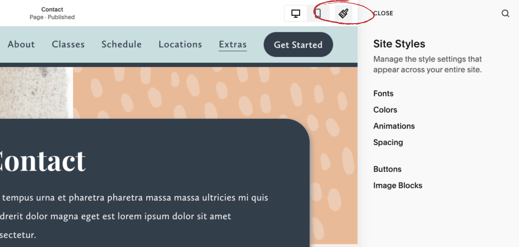 Getting Started with Squarespace: A Step-by-Step Guide — Station Seven