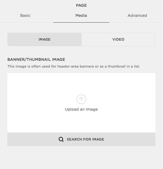 How to Create a 'Link in Bio' Page in Squarespace — Station Seven