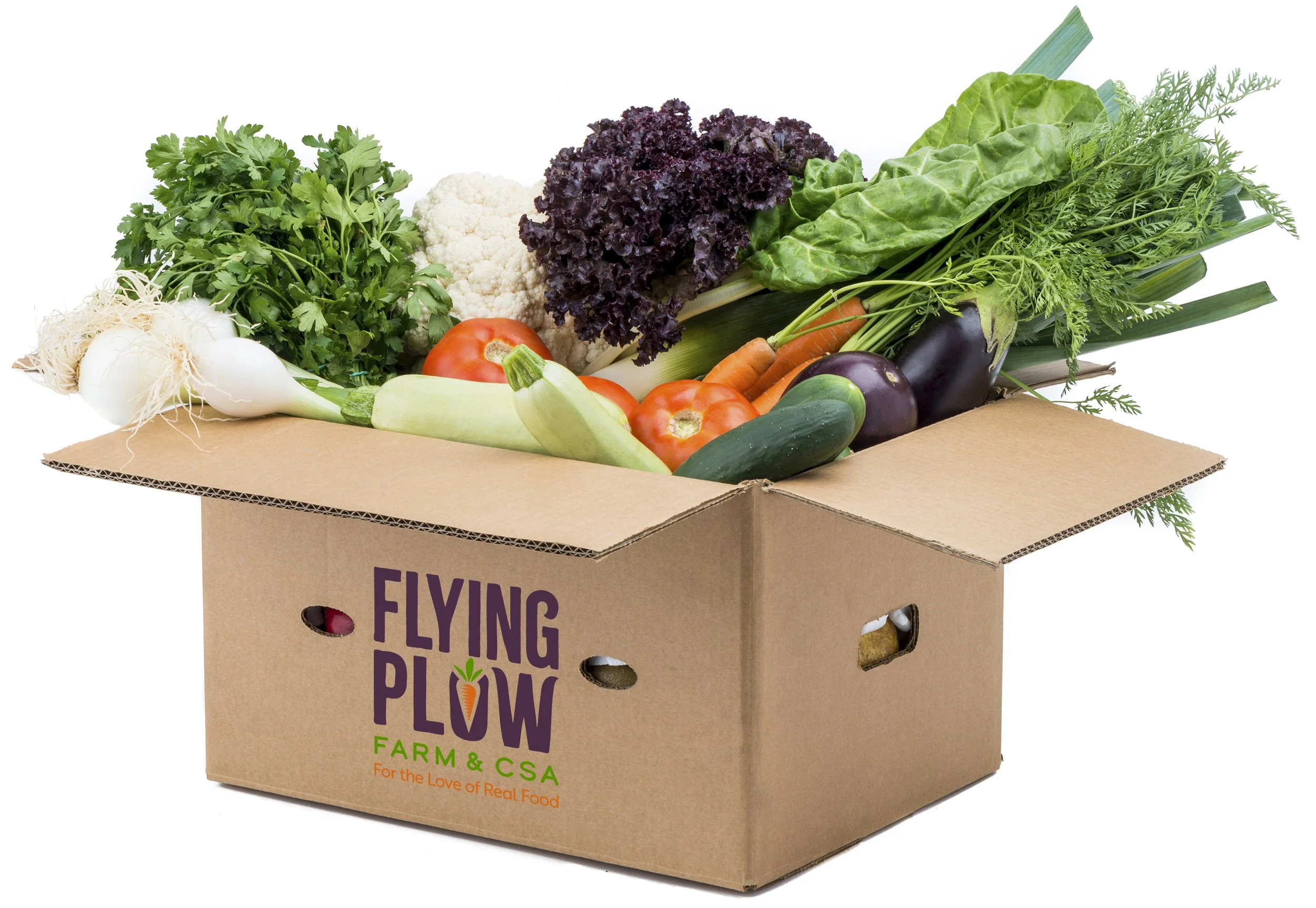 Organic Farm Cecil County - Flying Plow Farm
