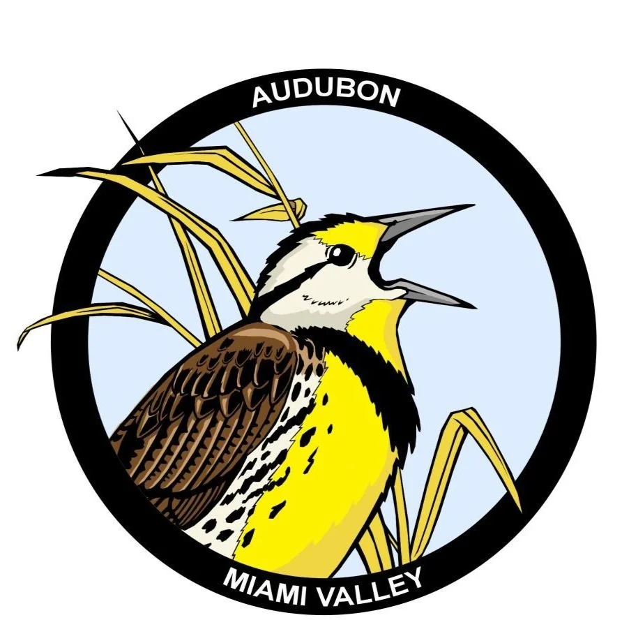 Chapters — Council of Ohio Audubon Chapters