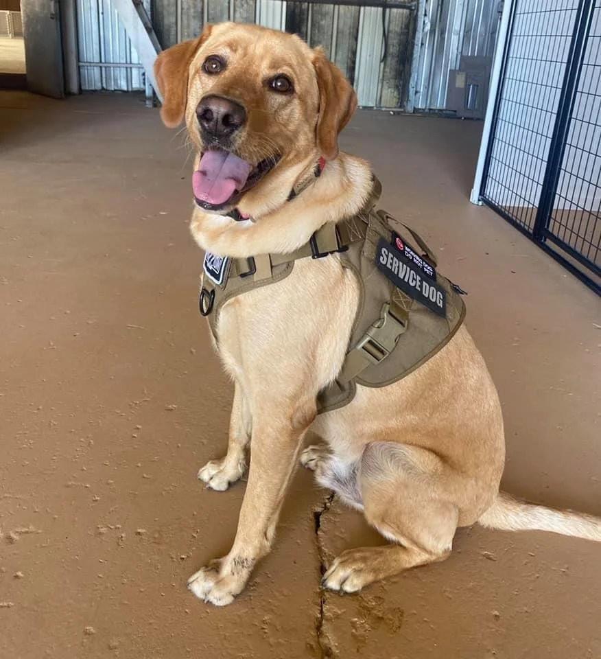 South Dakota Service Dogs