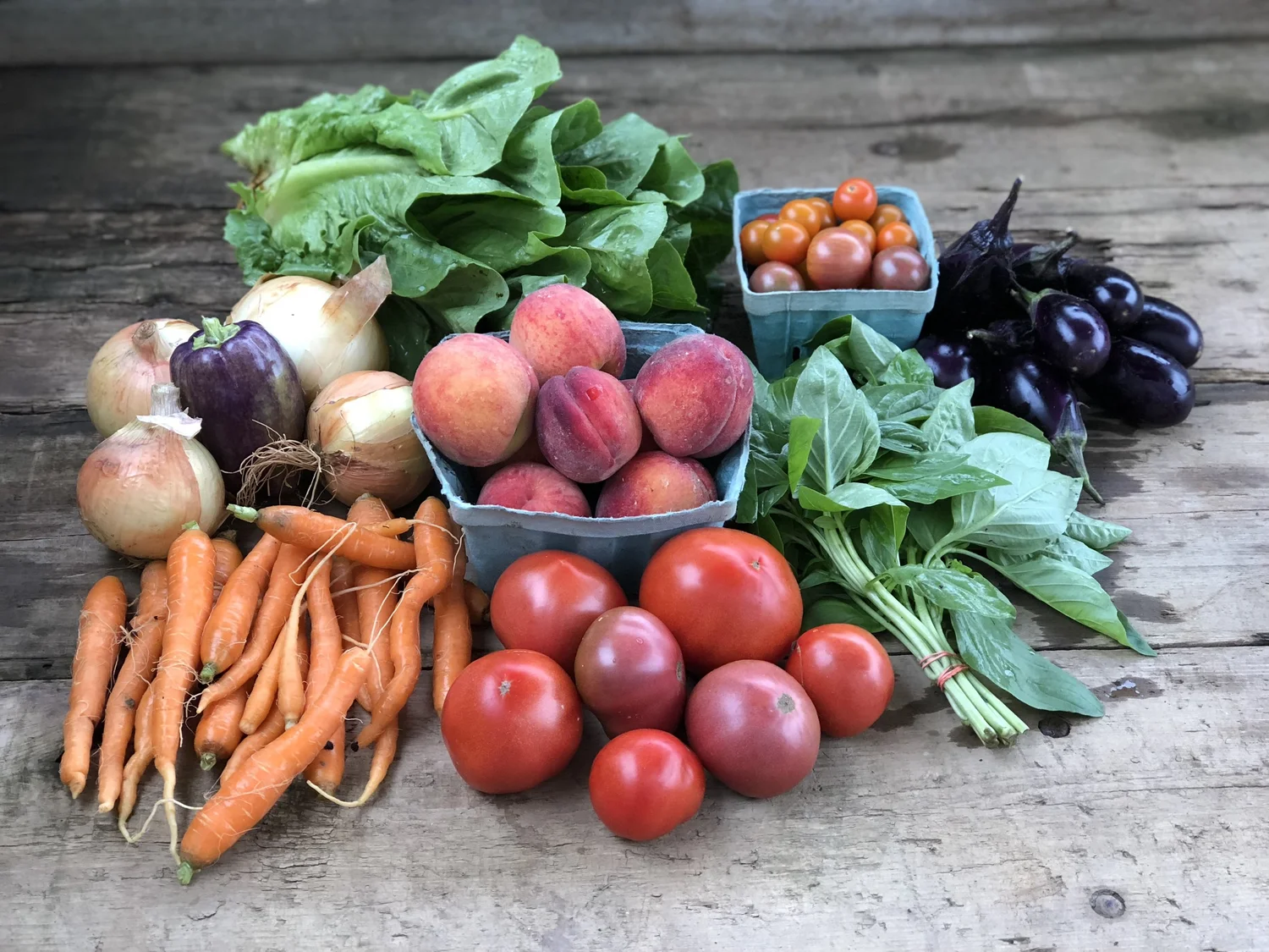 What is a Farm Share? — Down To Earth Harvest
