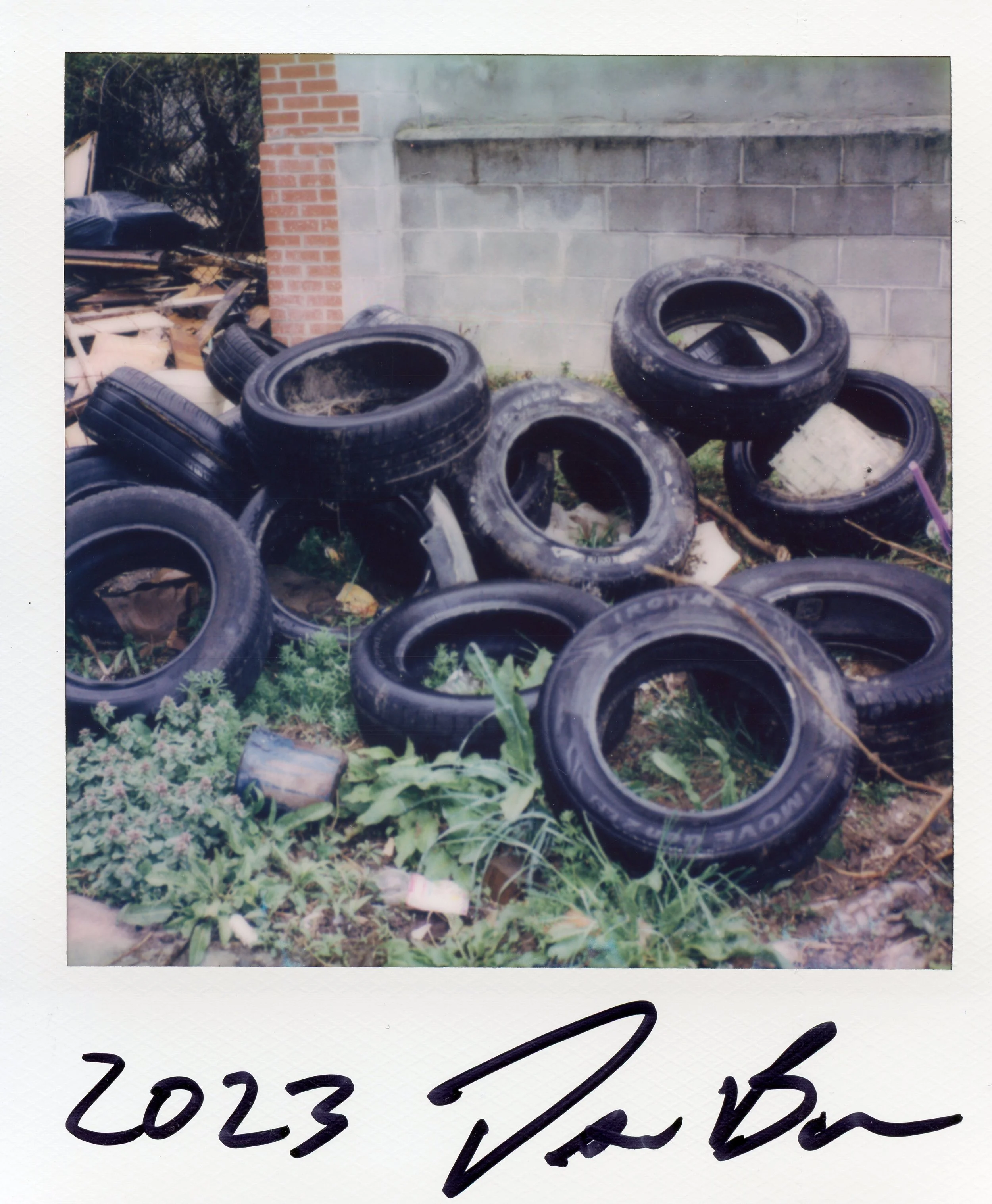 DAN BELL / Photos / Art / Objects