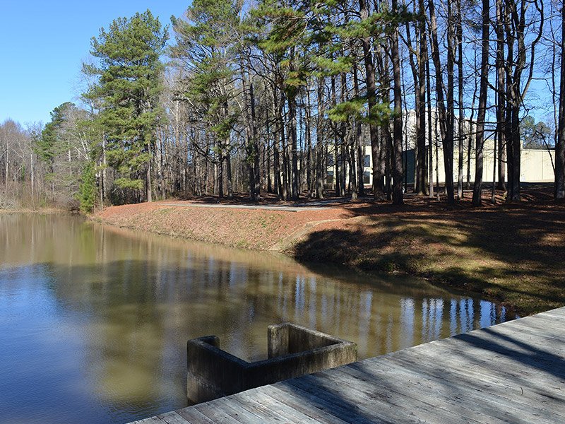 Overview — Pangaea Studios