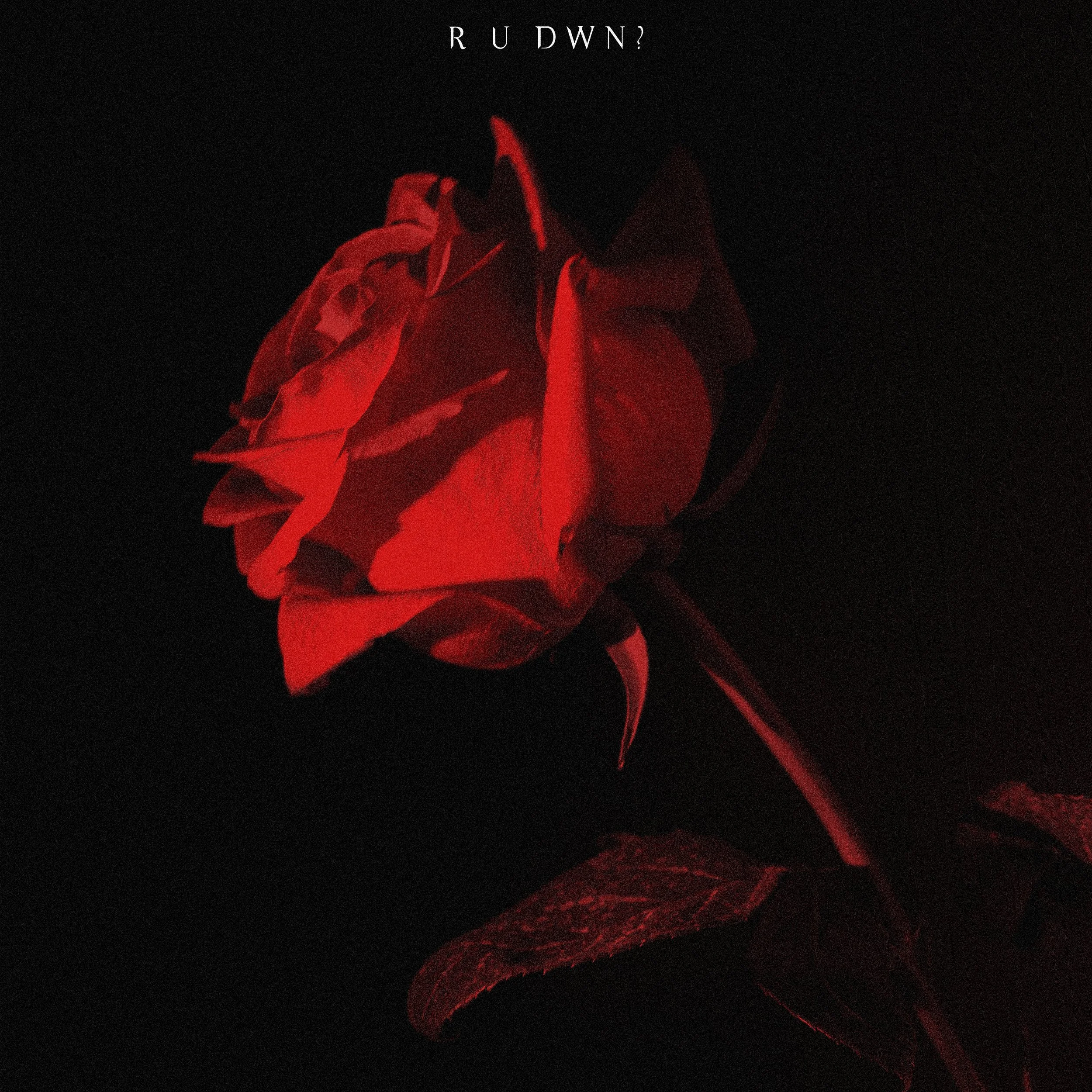 Sorry X — SBG Records