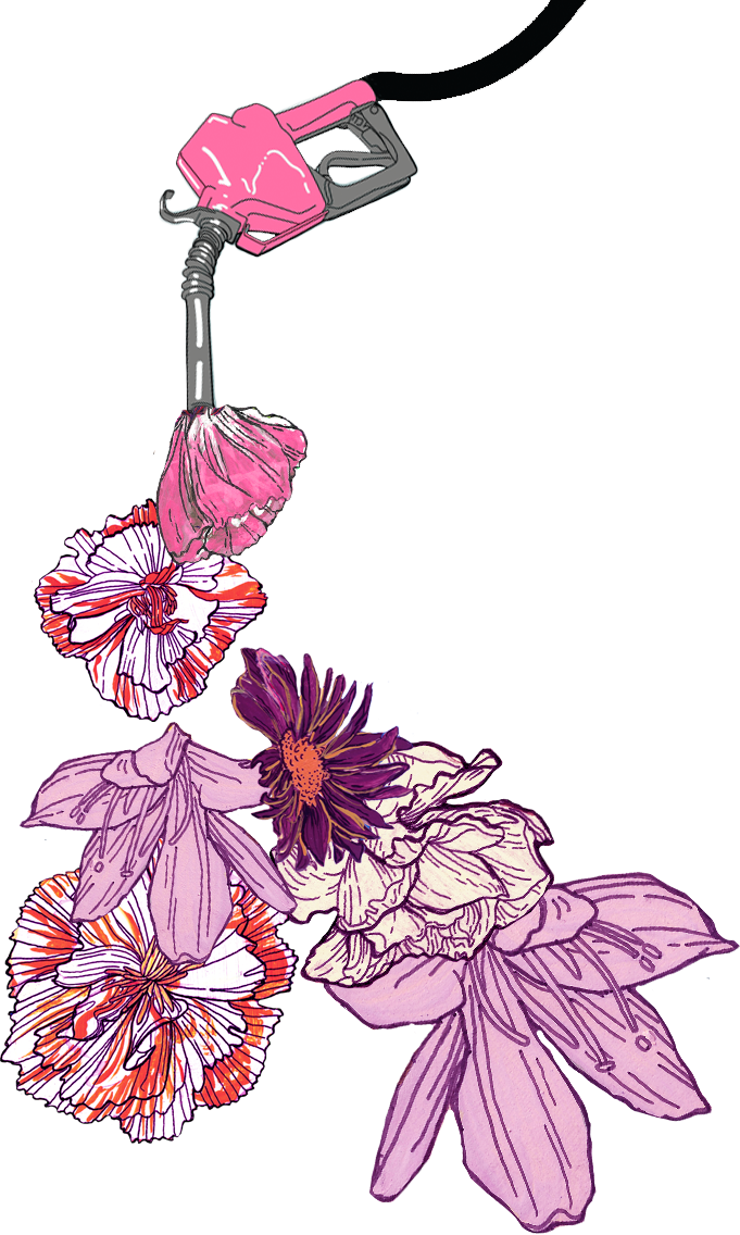 Gabi Anderson Studio