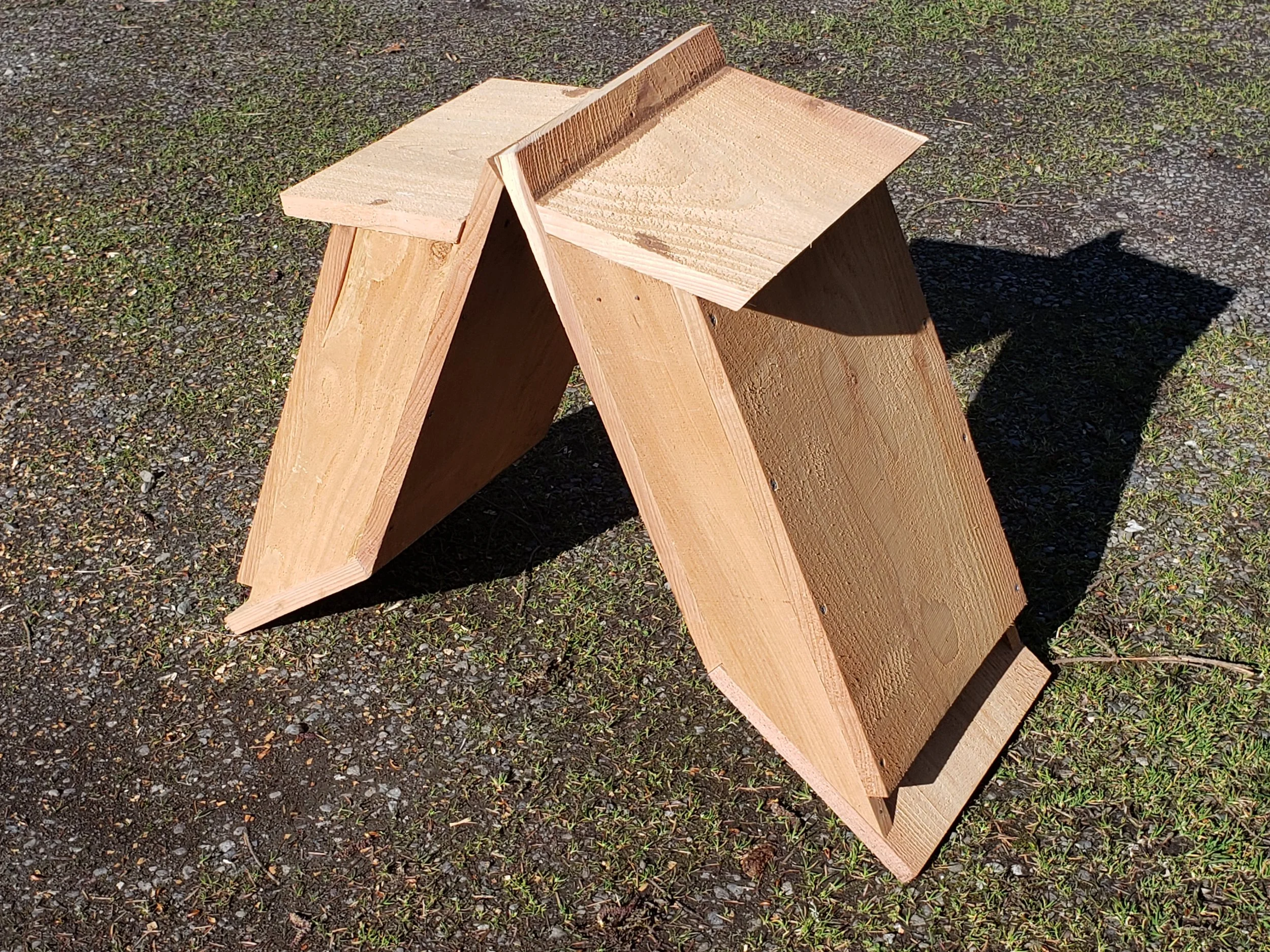 Bat Habitat | Bats Northwest