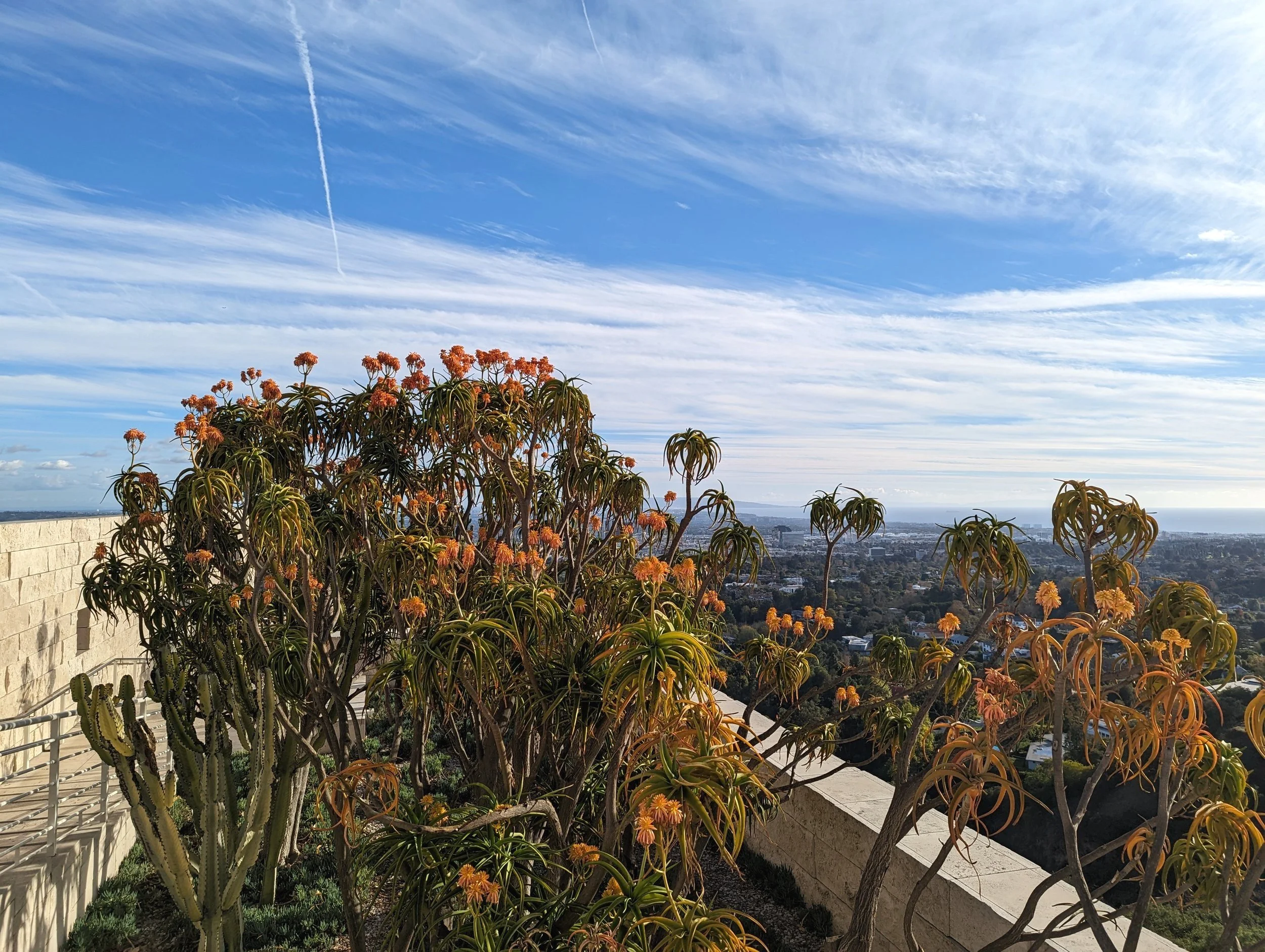 Forager Crafts: Creative Workshops & Events