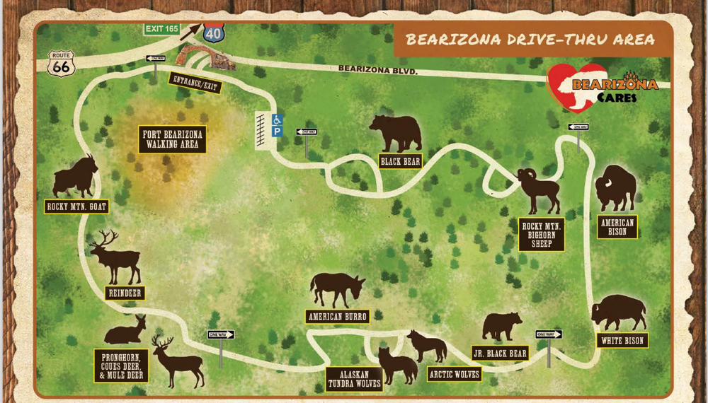 Bearizona-Wildlife Park-Williams, AZ — Imagine To Expedition