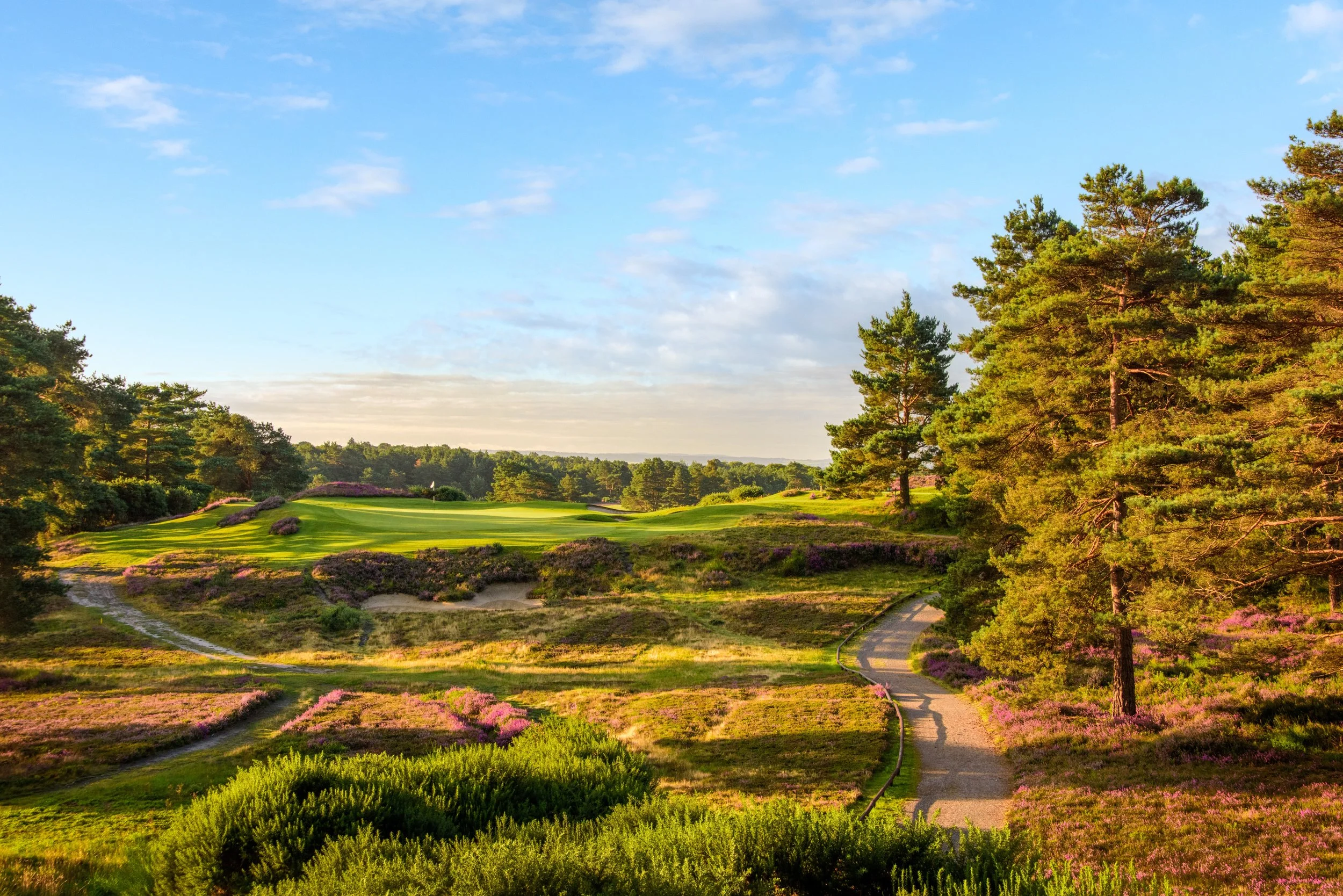 Calluna Golf