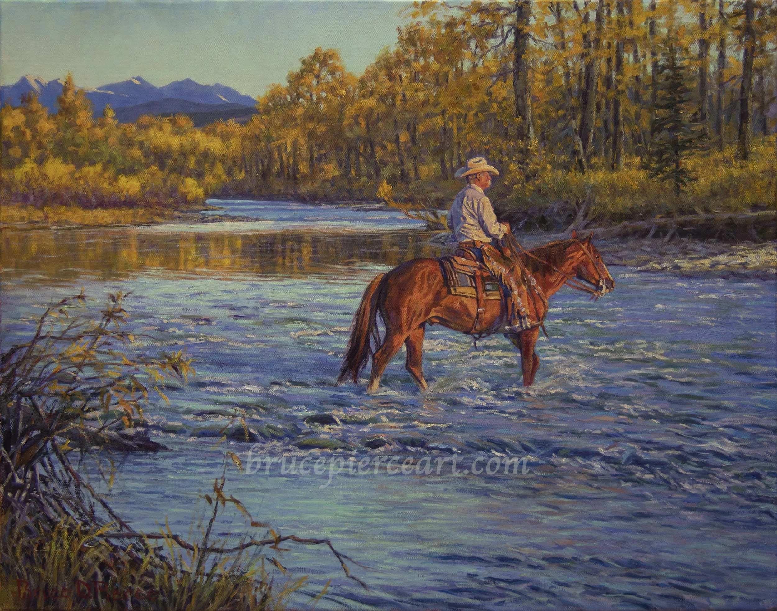 Shop — Bruce Pierce
