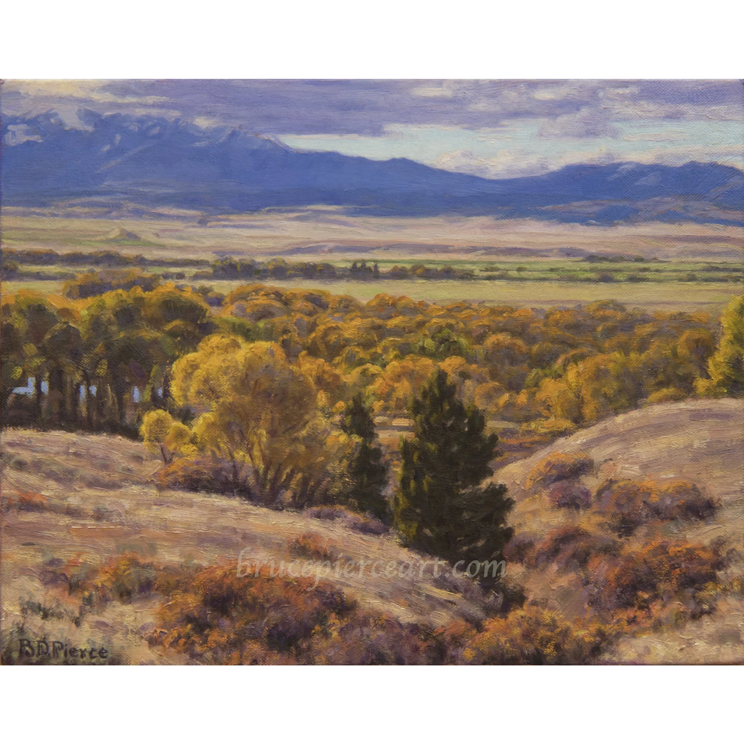 Landscape — Shop — Bruce Pierce