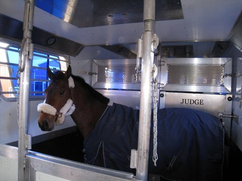 Stall Sizes — National Horse Carriers Association