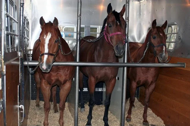 Stall Sizes — National Horse Carriers Association