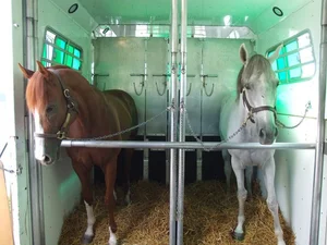 Stall Sizes — National Horse Carriers Association