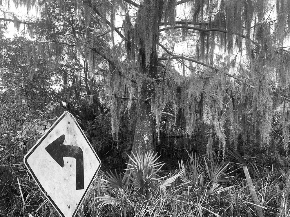 Contact — The Bayou Bandit