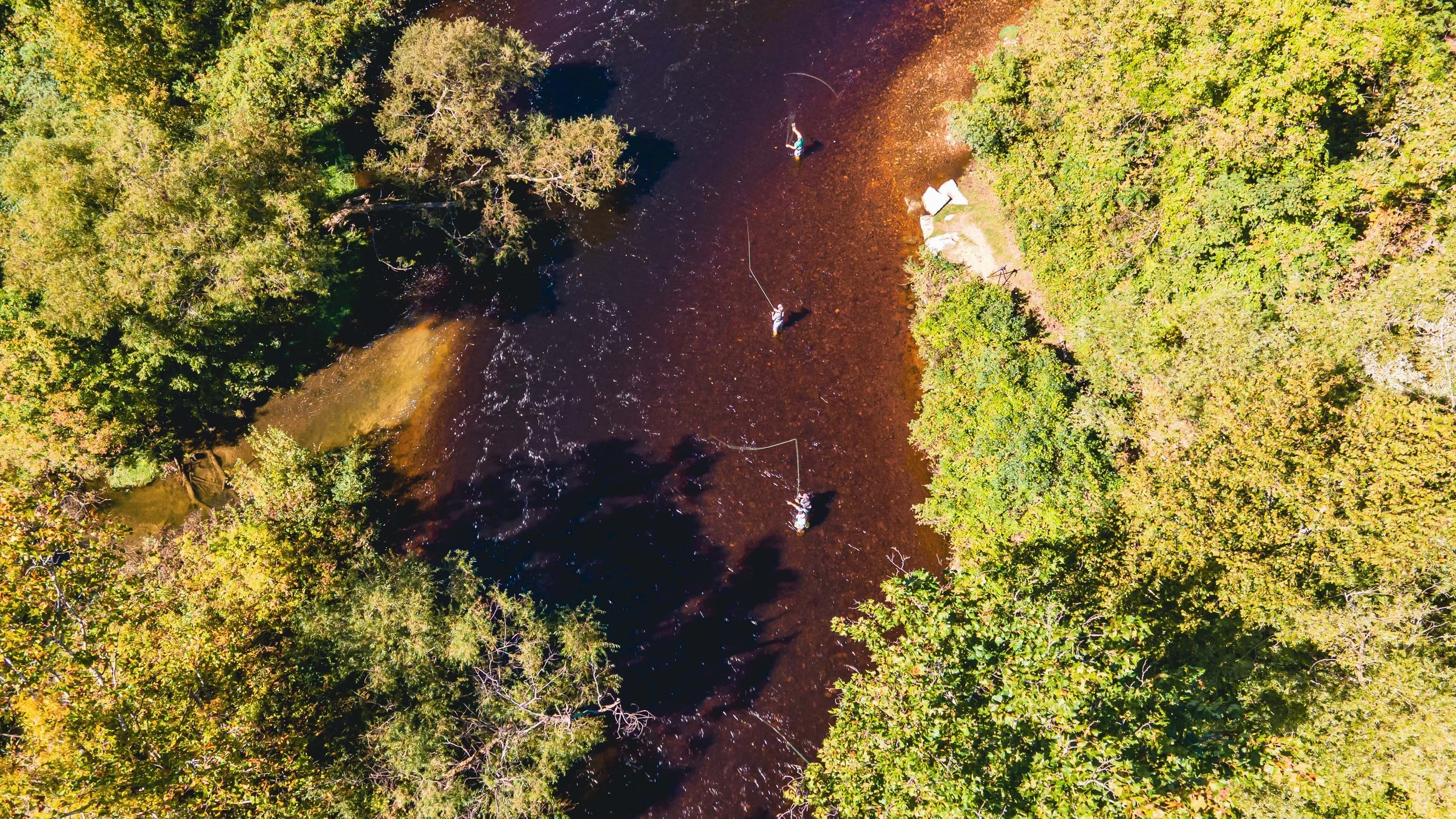 Battenkill Fly Fishing Festival