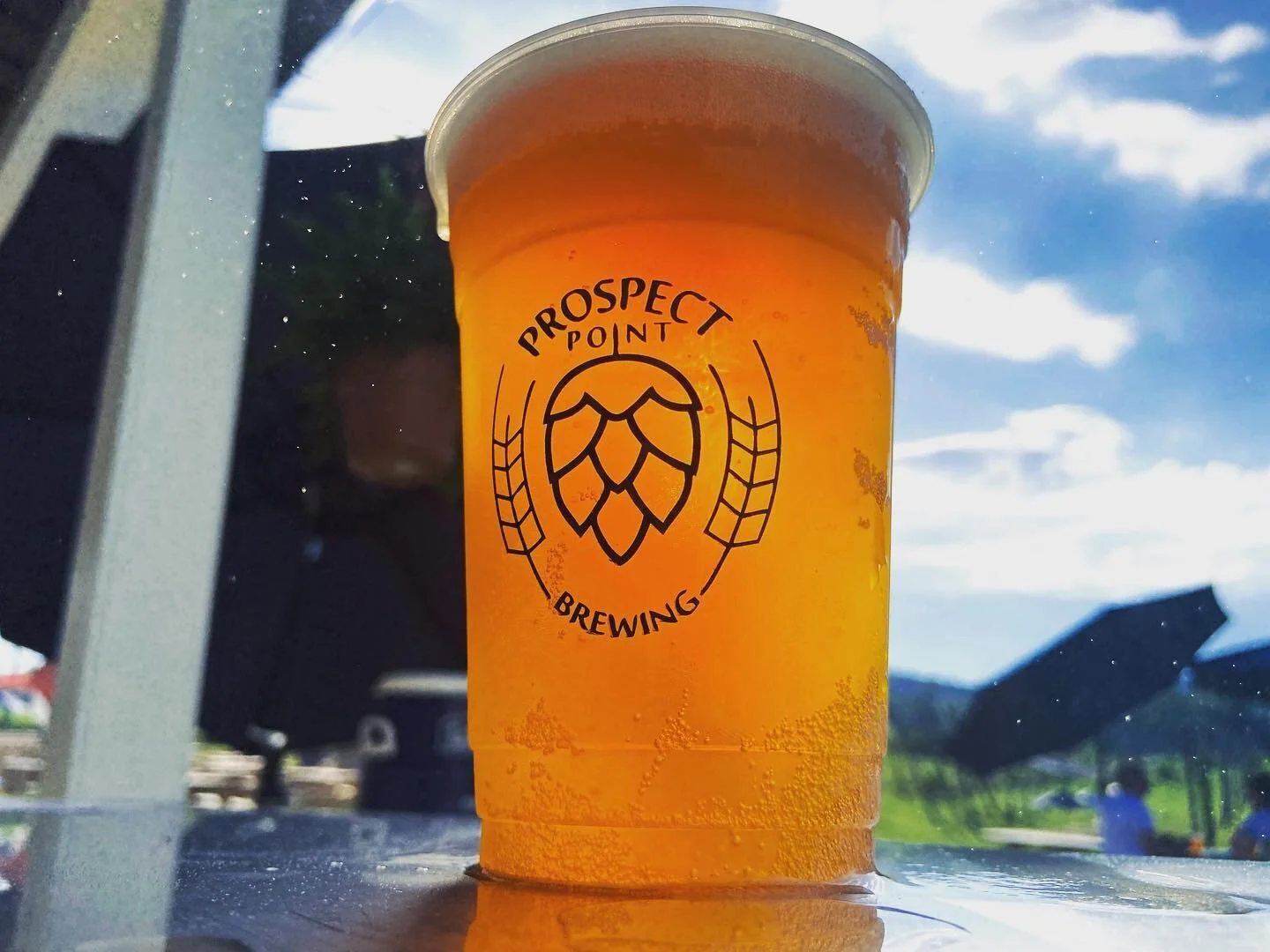 Prospect Point Brewing