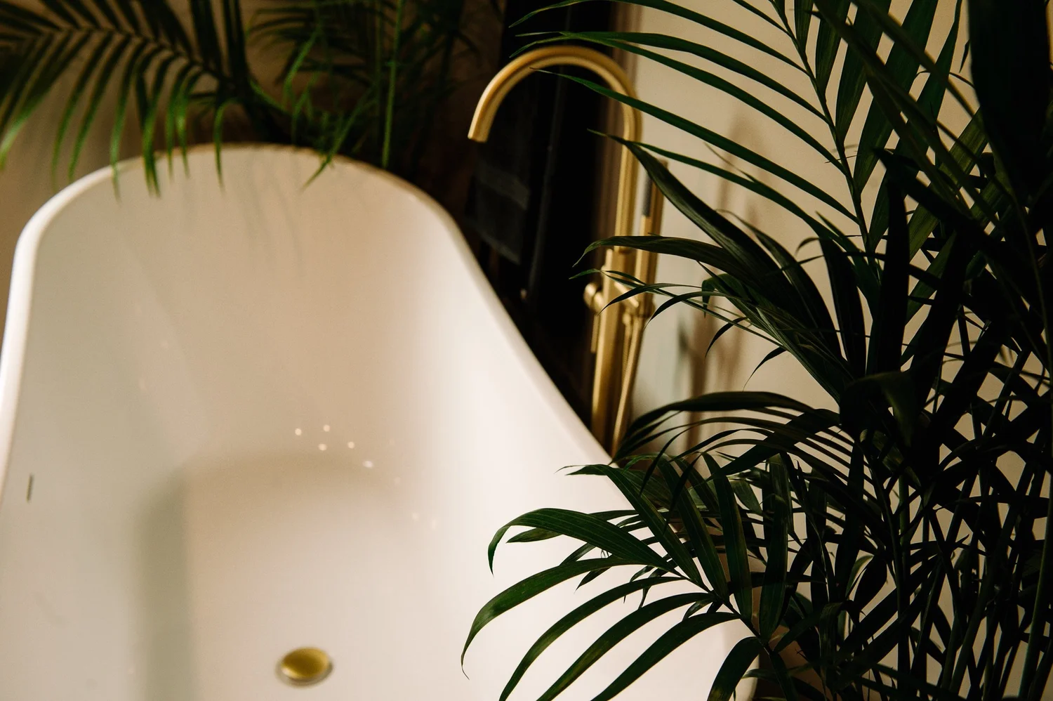 Visiting the Spa — MasonWells